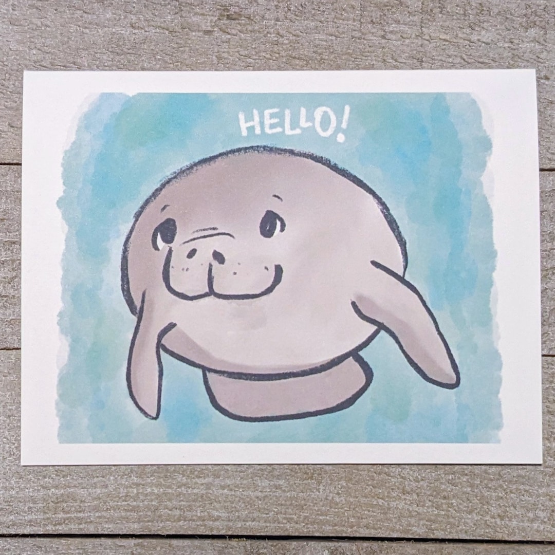 Manatee Hello Card, Thinking of You Card, Hawaii Theme, Florida, Blank ...