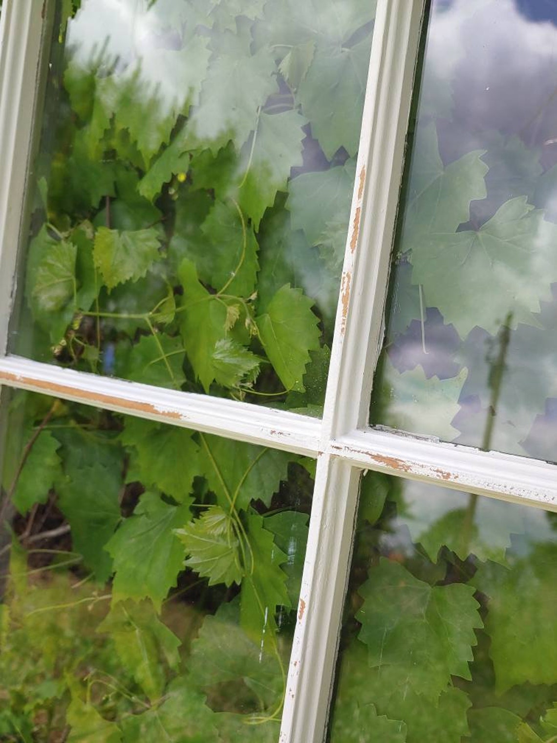 24x32 Six Pane 6 Panel 6 Lite, Antique Window Sash Rustic Farmhouse ...