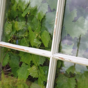 24x32 Six Pane 6 Panel 6 Lite, Antique Window Sash Rustic Farmhouse ...