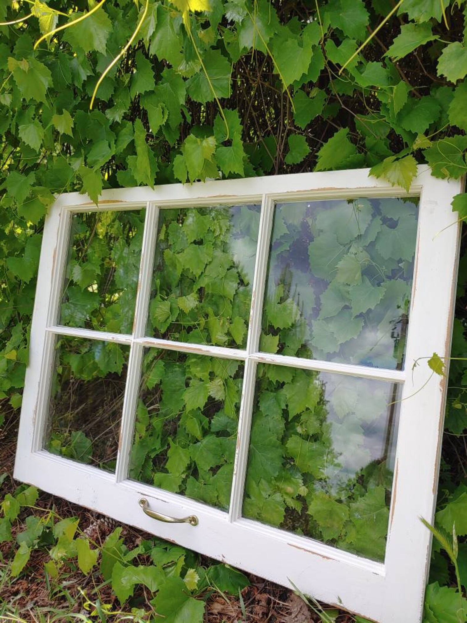 24x32 Six Pane 6 Panel 6 Lite, Antique Window Sash Rustic Farmhouse ...