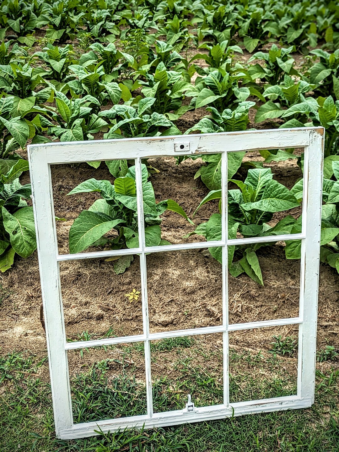 Vintage Antique Farm Window Sash Frame 9 Pane Very Old Rustic Cottage ...
