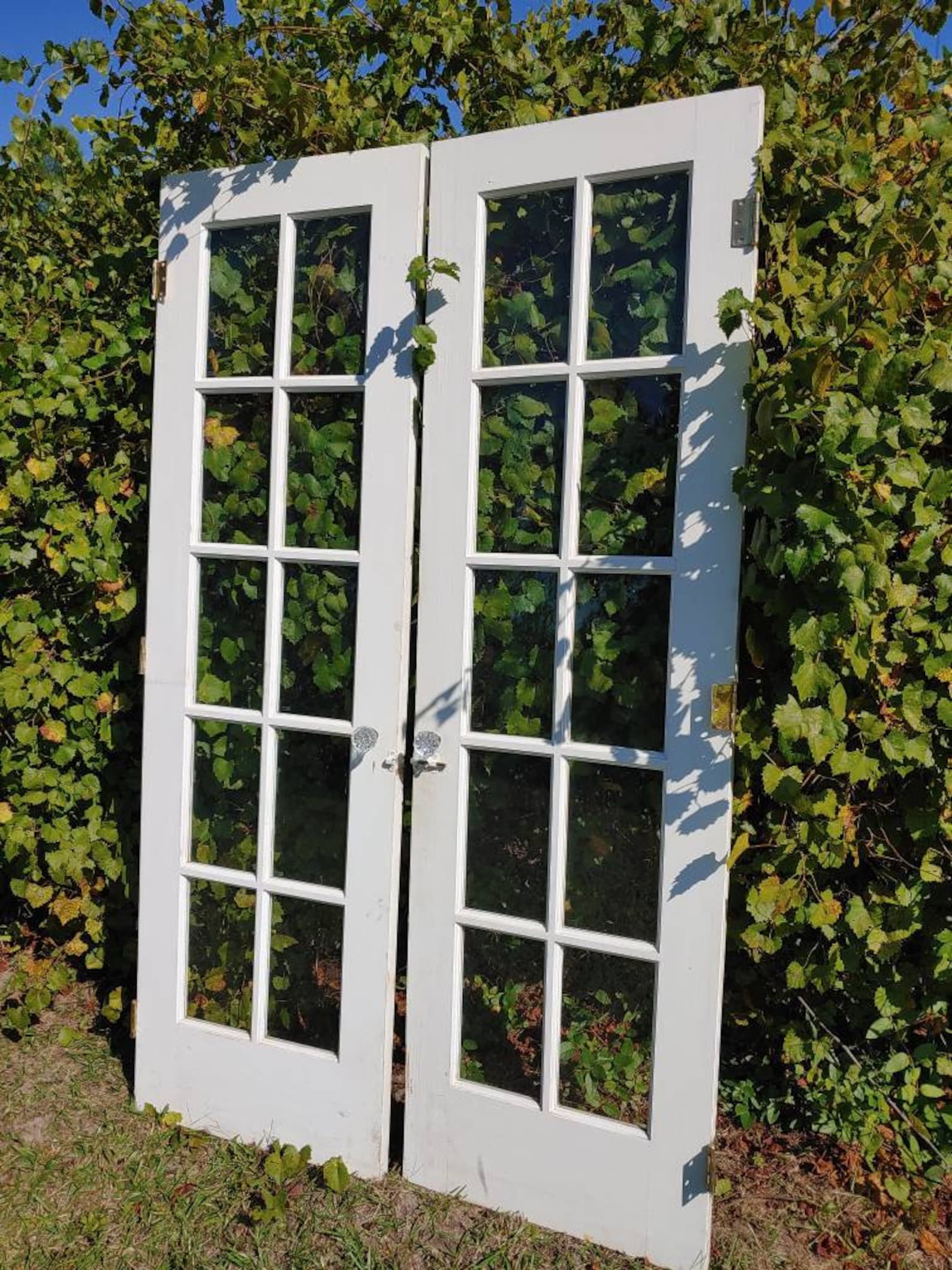 Architectural Salvage Antique French Doors Mid-century 10 - Etsy