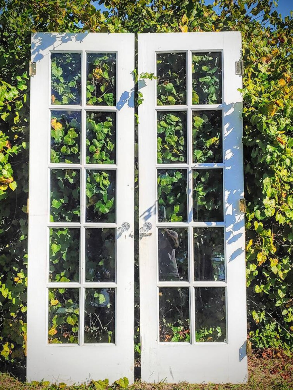 Architectural Salvage Antique French Doors Mid-century 10 - Etsy