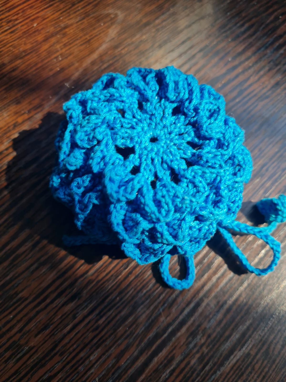 Superstar, Ballerina Bun Covers, Crocheted Ballet Hair. Bun Holder ...