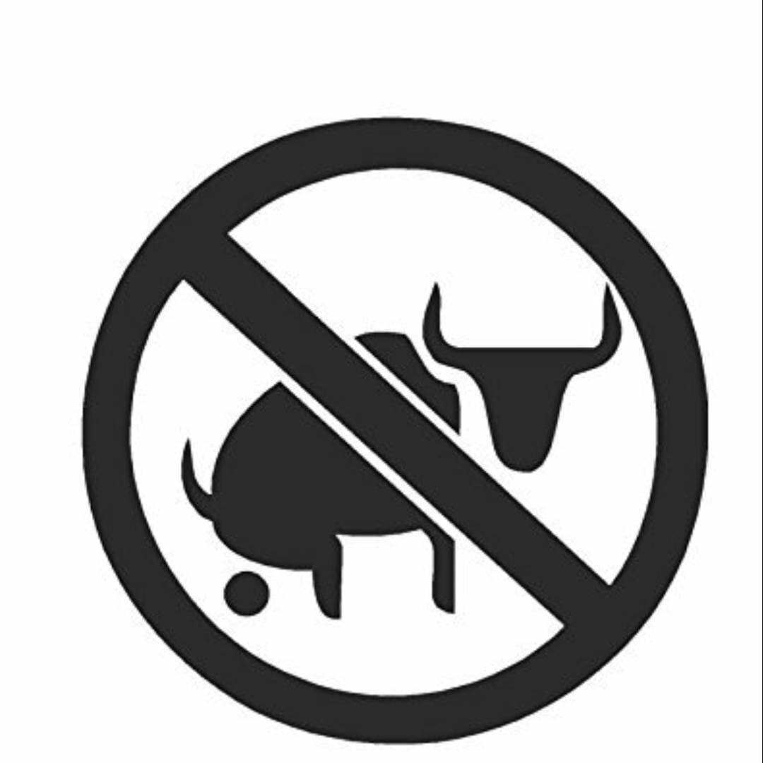 No bull bs Vinyl decal stickers vinyl decal for tumbler | Etsy