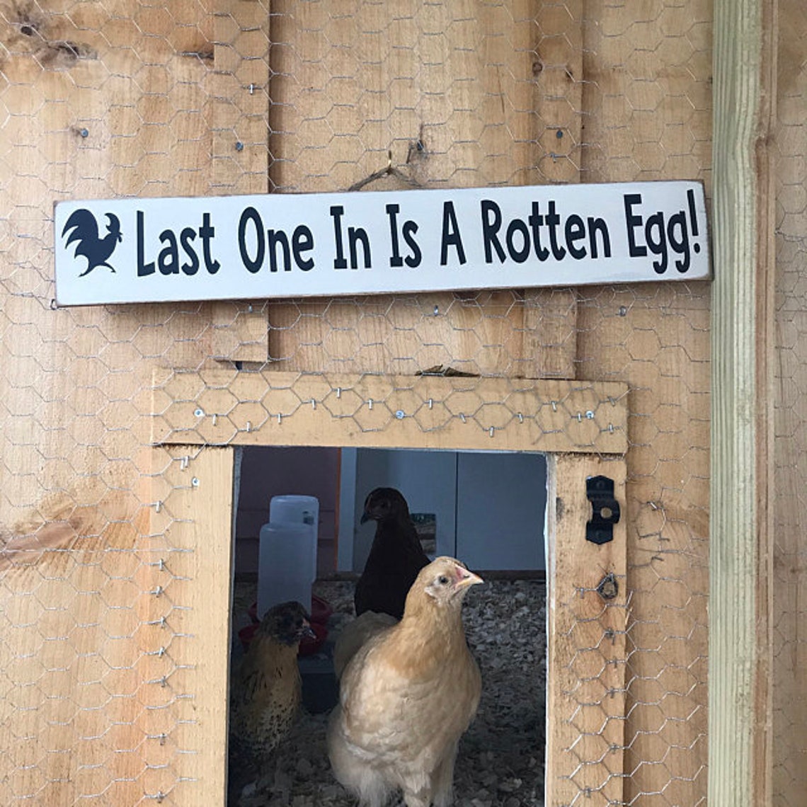 Last One in is A Rotten Egg Chicken Coop Sign Farm Sign - Etsy