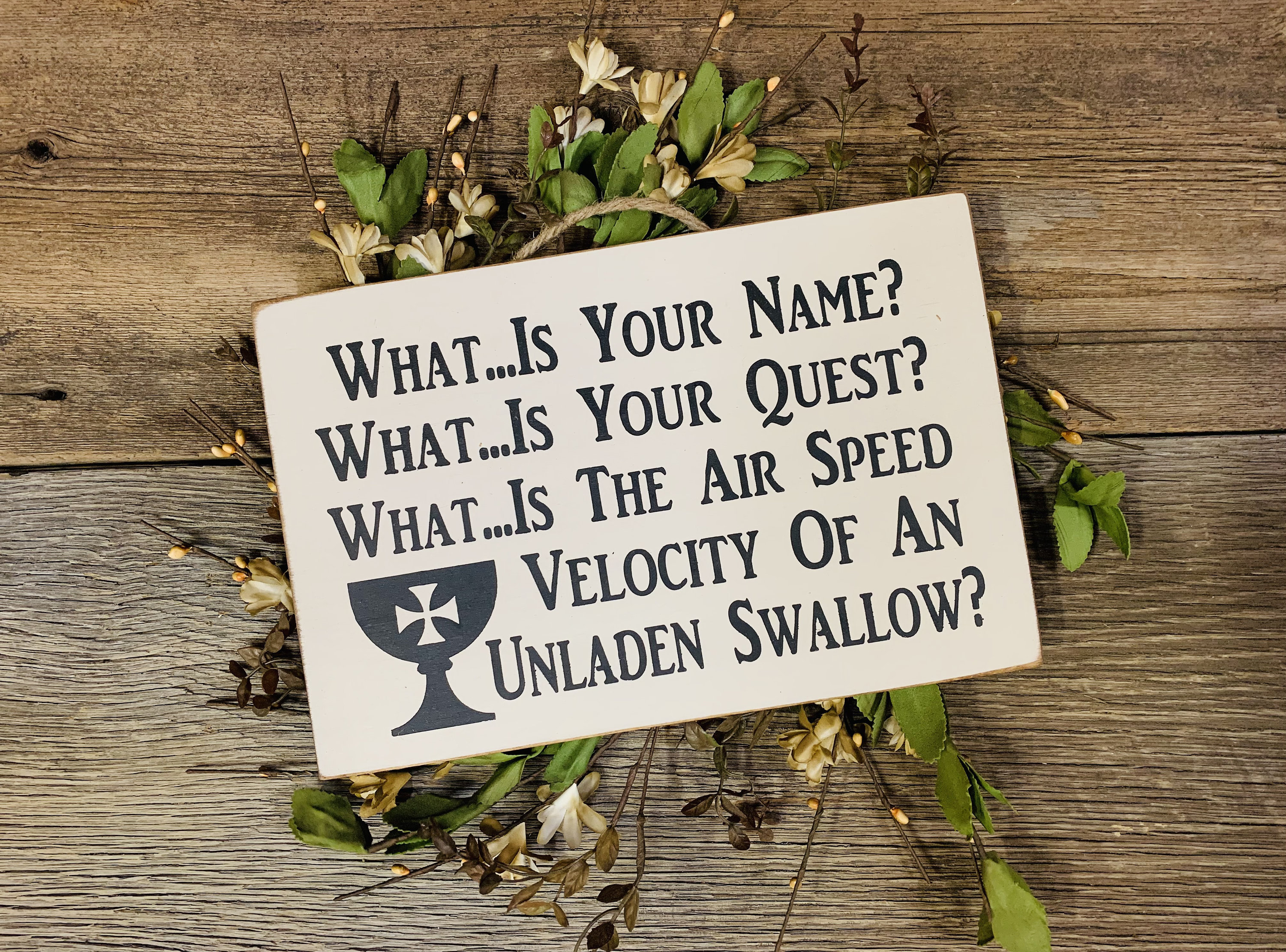 Monty Python Quotes Swallow