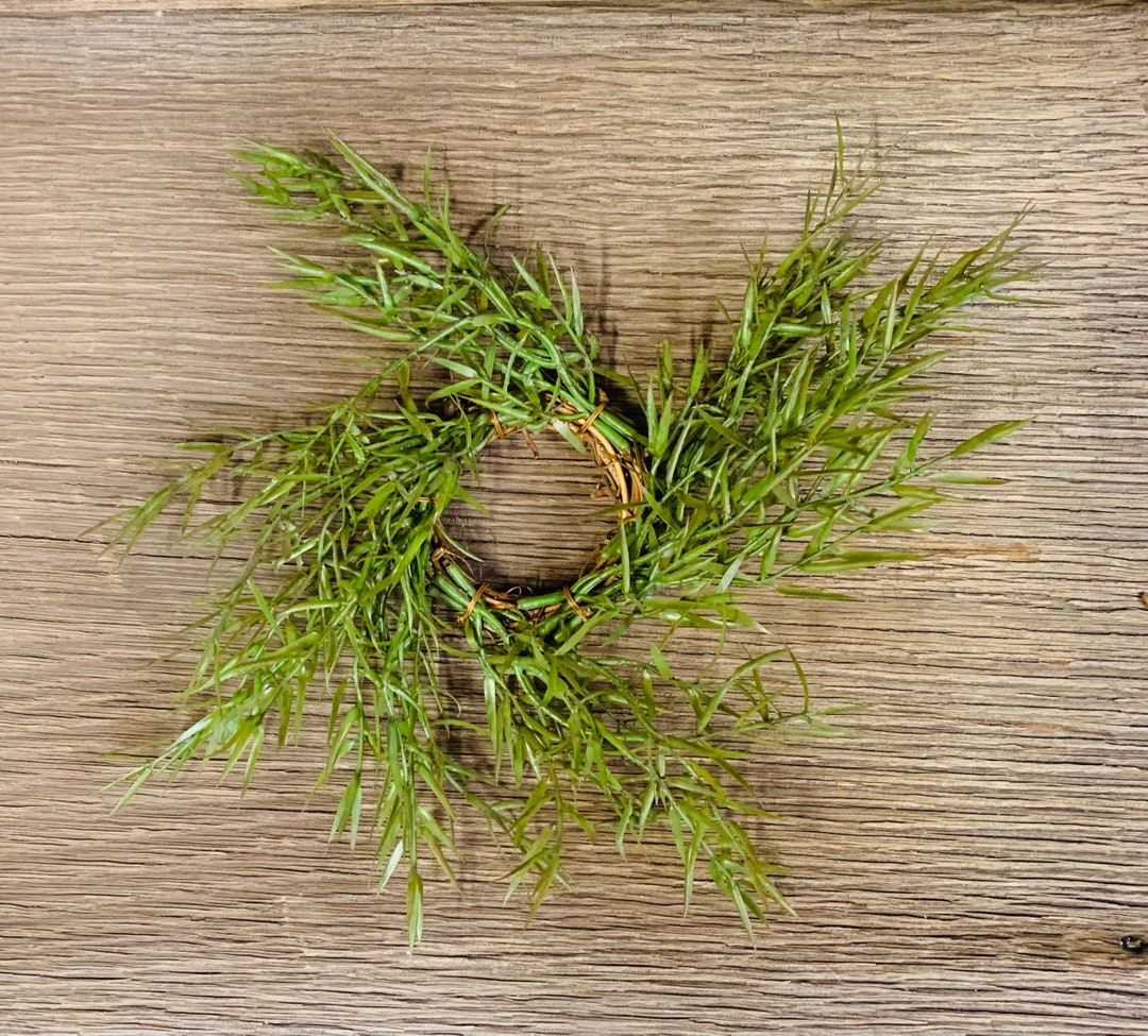 Tiny Wreath, Small Wreath, Mini Wreath, Farmhouse Wreath, All Occasion ...