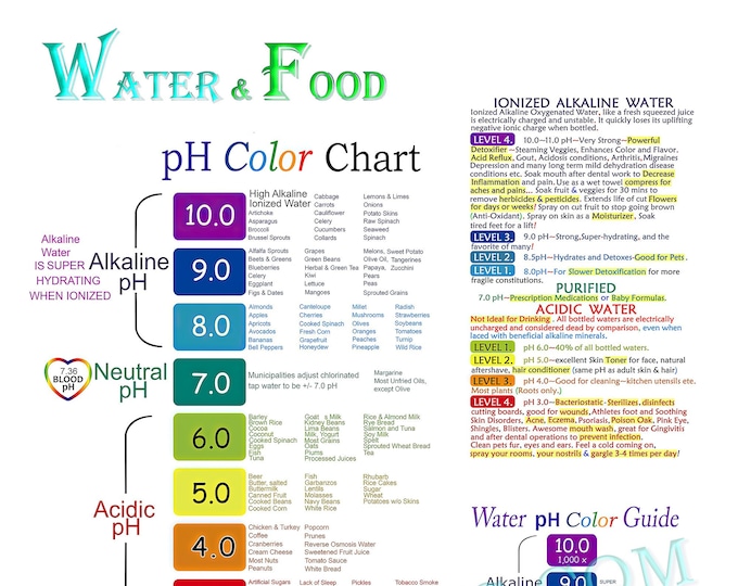 Water and Food Ph ( Acidity or Alkalinity ) Color Chart Poster - Etsy