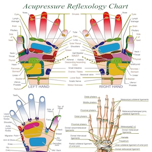 acupuncture chart hand
