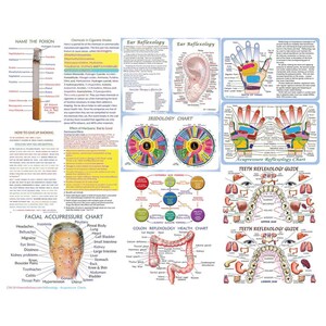 Reflexology Chart for Face, Hands, Ears, Teeth, With Acupressure Tips ...
