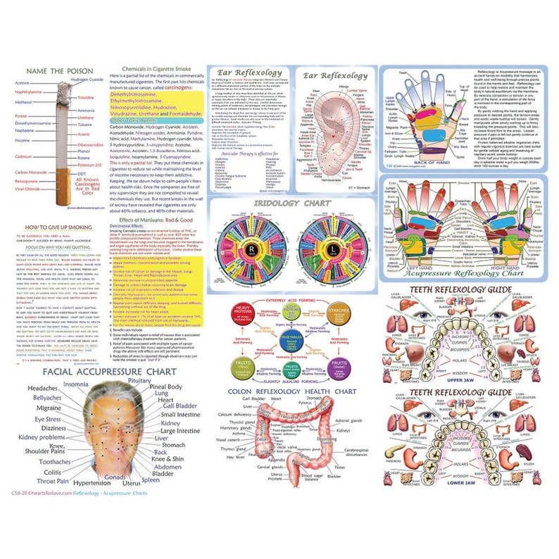 Reflexology Chart for Face Hands Ears Teeth With - Etsy