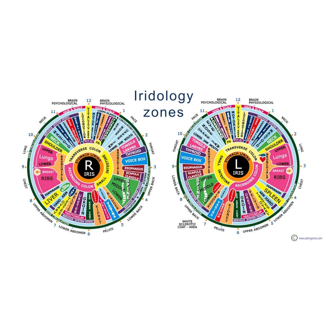 Iridology Zones for the Assessment of Health by Reading Iris Patterns ...