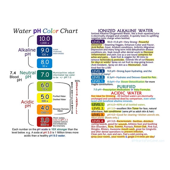 Alkaline Water Infographic and Ph Chart on High Quality | Etsy