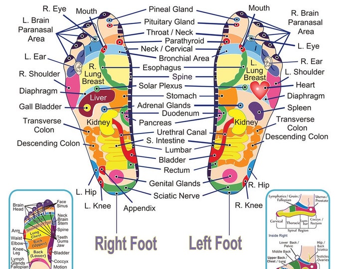 Reflexology and Acupressure Map of Feet. Professional Quality Square ...