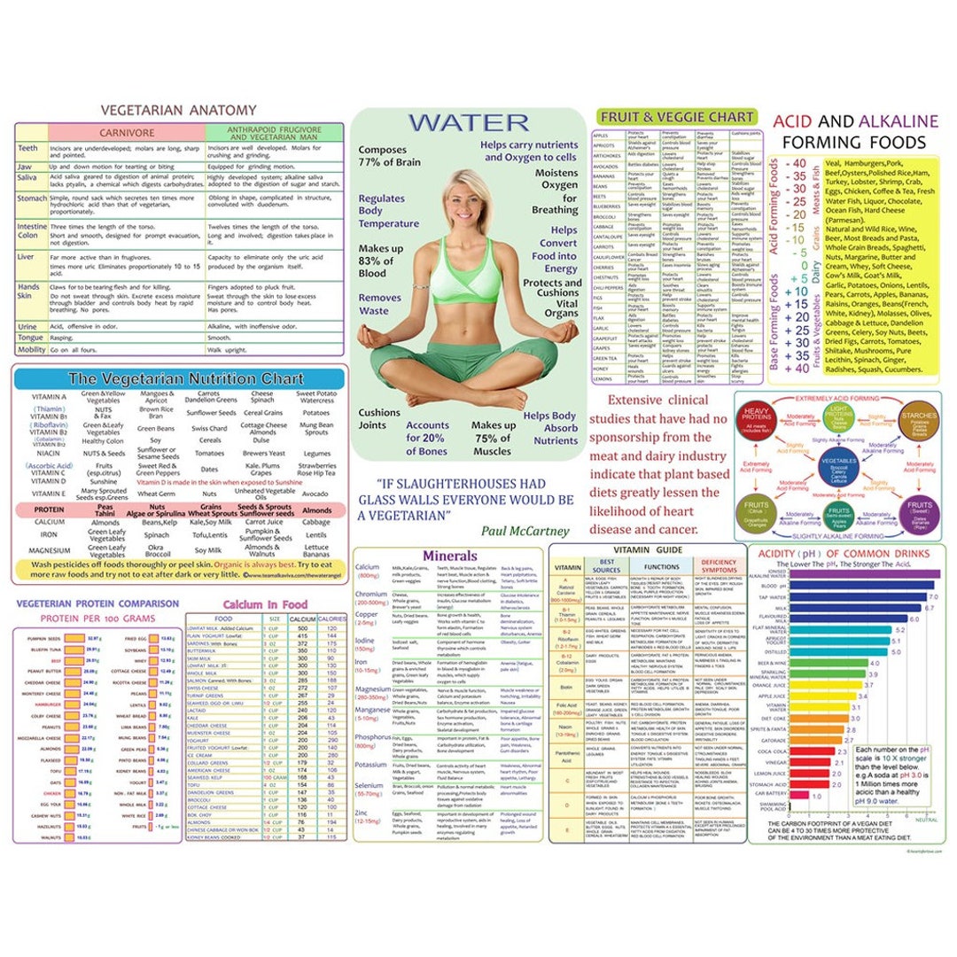 The Vegetarian Nutrition Chart, Supporting Health via Plant Based Foods ...