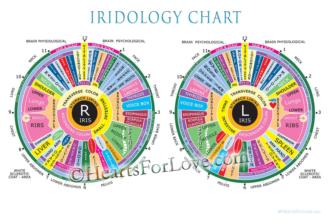 Iridology Chart Iridology Map of the Eye Pupil. up to 20 X 30 - Etsy ...