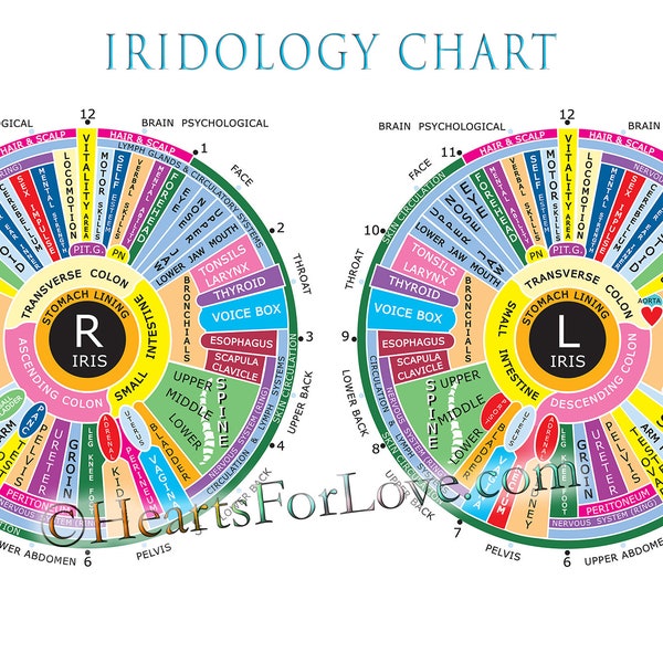 Eye Chart Print - Etsy