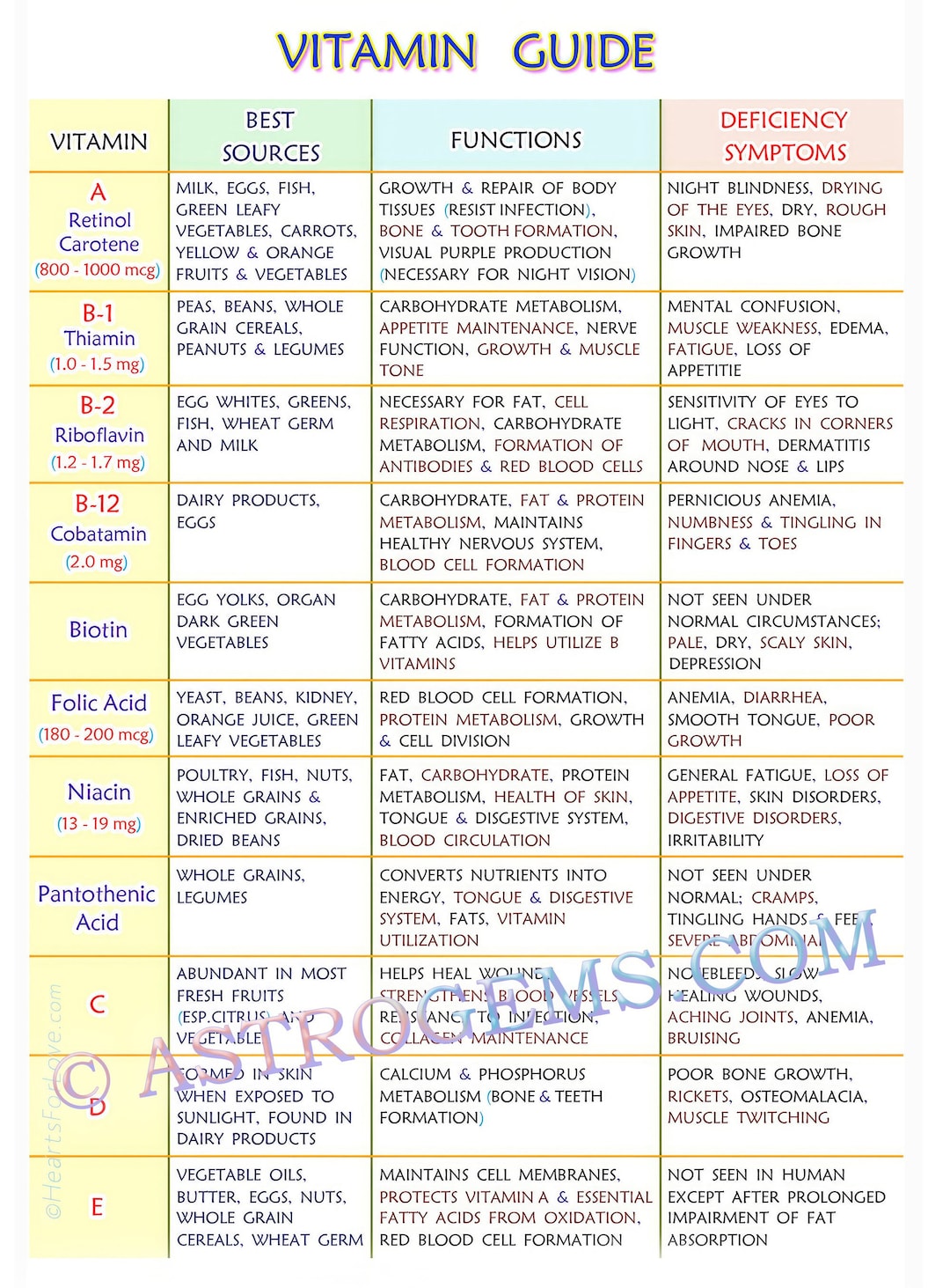 Vitamin Guide. Their Best Natural Sources, Function Etc. - Etsy