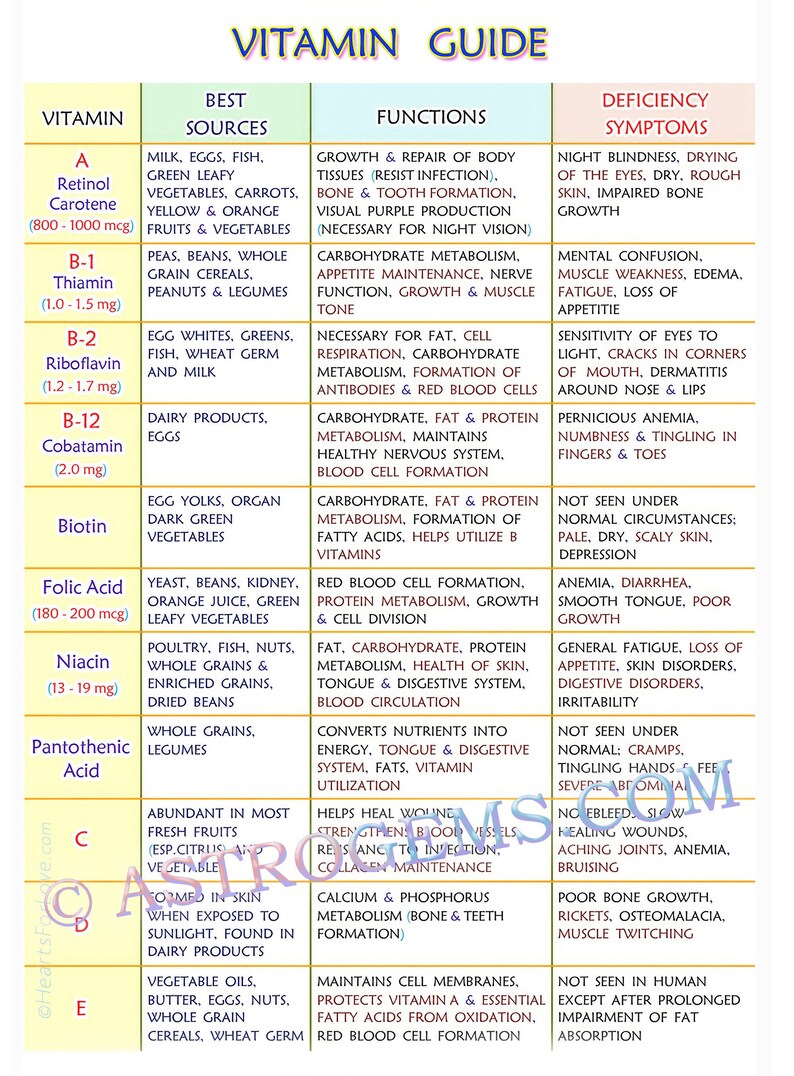 Vitamin Guide. Their Best Natural Sources, Function Etc. - Etsy