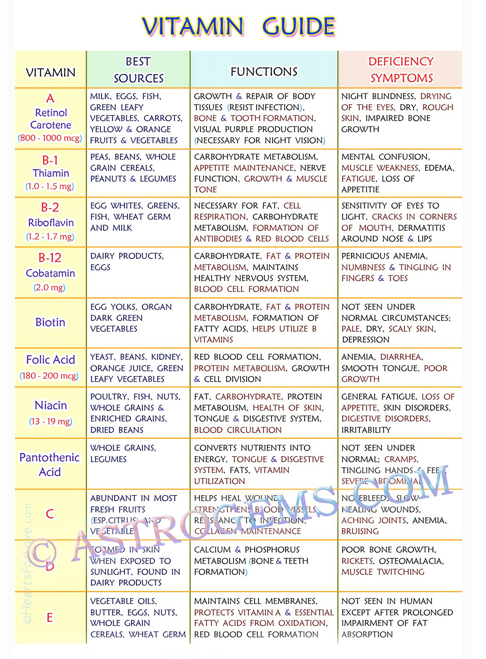 Vitamin Guide. Their Best Natural Sources, Function Etc. - Etsy