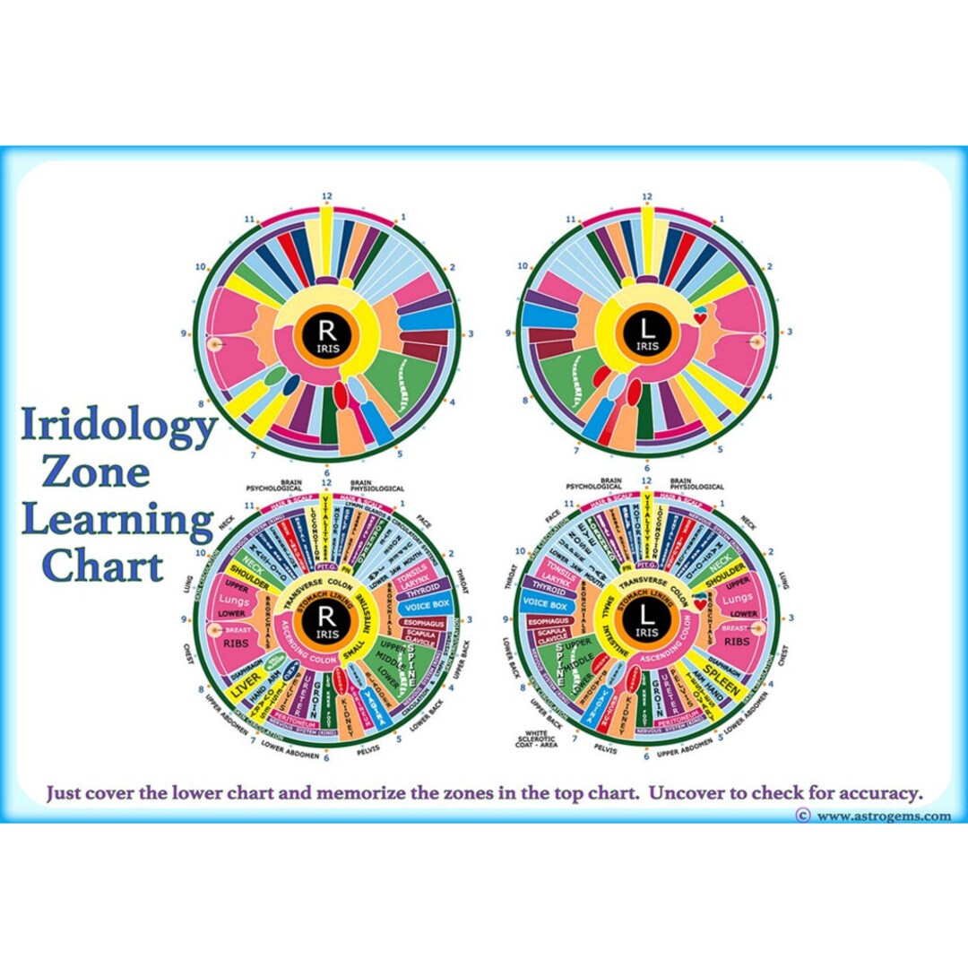 Iridology Zone Learning Chart. Printed on Professional Grade ...
