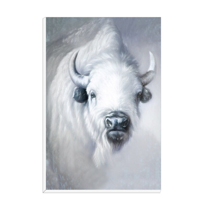 White Buffalo. Canvas - Etsy