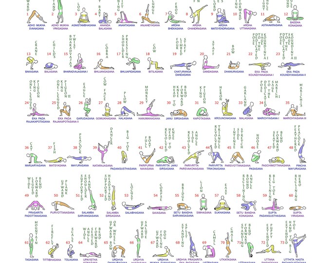 Yoga Postures Reference Chart. Professional Print on Photographic Paper ...