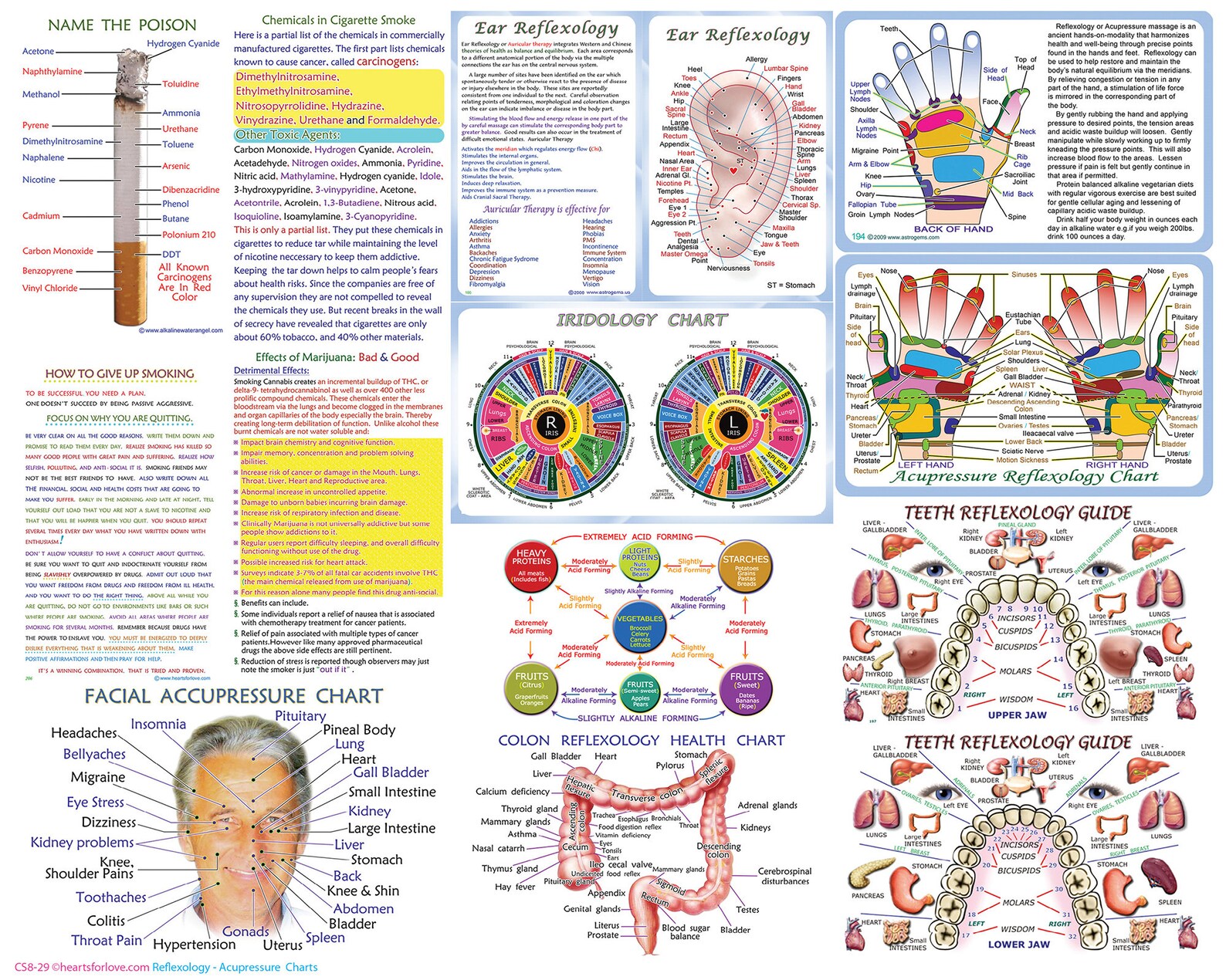 Reflexology Chart for Face Hands Ears Teeth With - Etsy