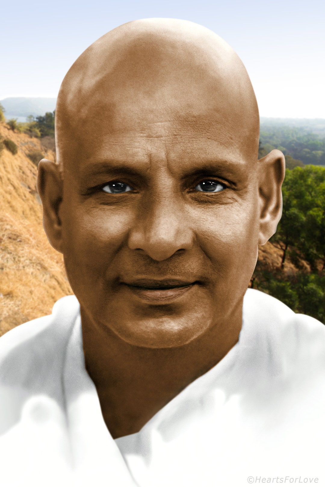 Swami Sivananda Portrait. Hearts for Love Fine Art Canvas - Etsy