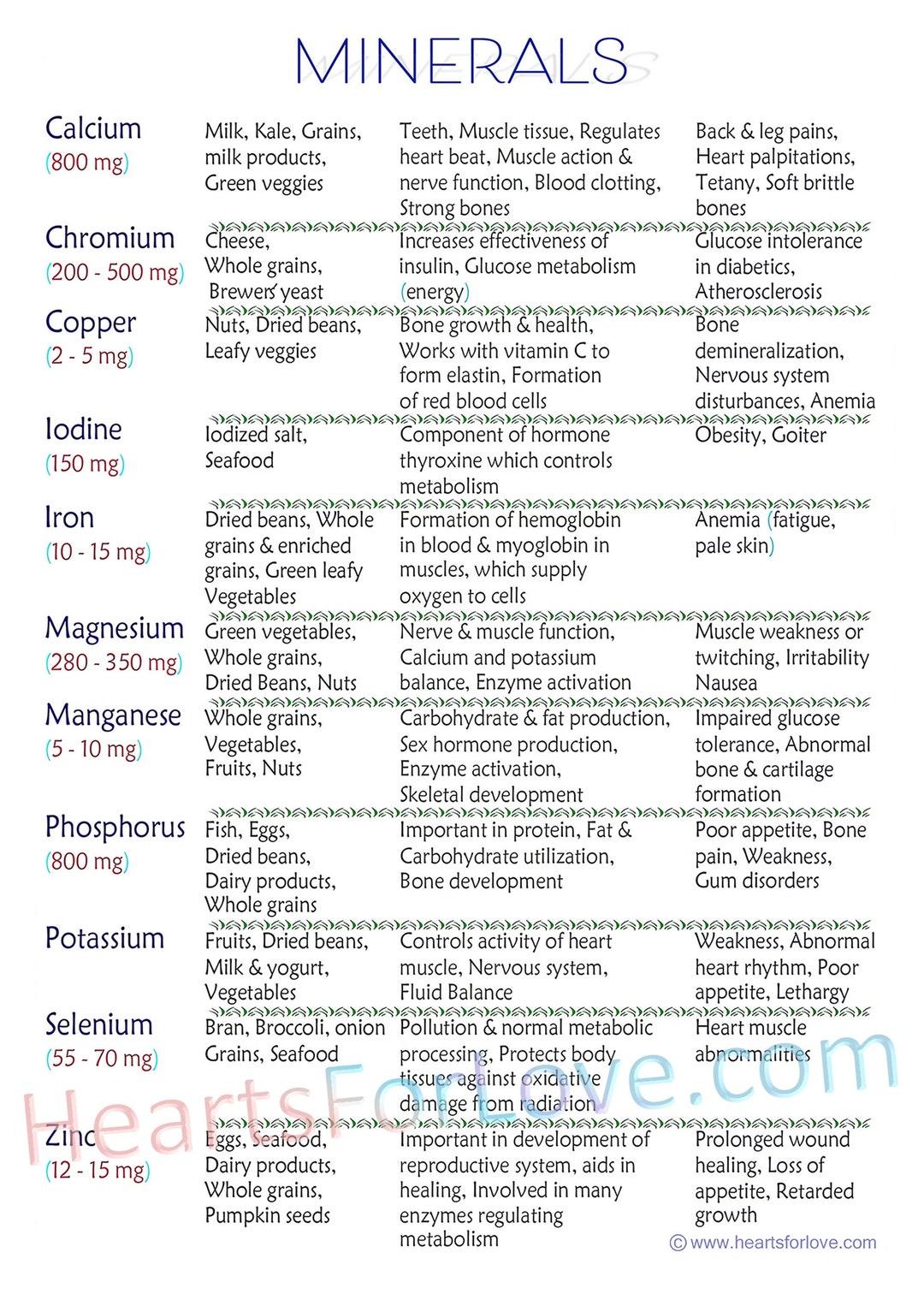 A Guide With Information About Important Minerals for Your Health and ...