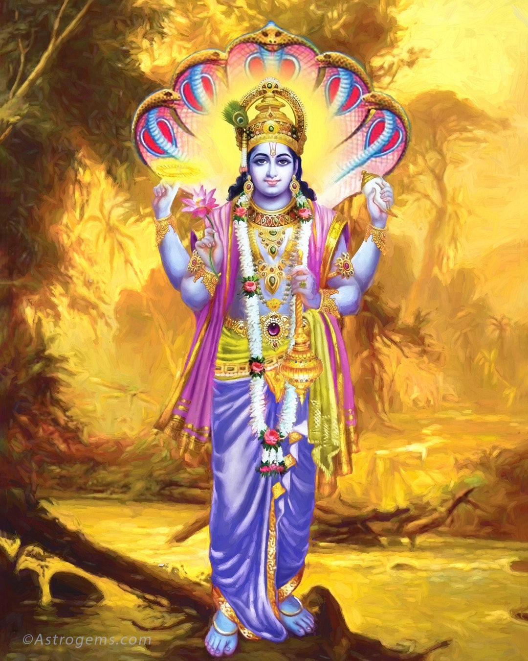 Lord Vishnu, the Preserver of the Cosmos. Fine Art Print on Canvas Wrap ...