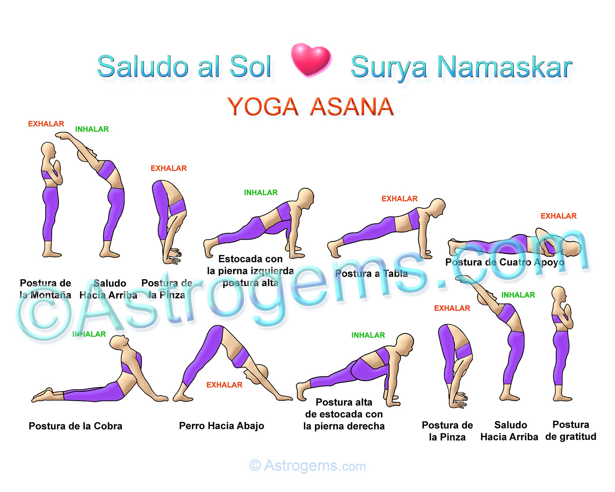 Cuadro Imprimible De Posturas De Saludo Al Sol De Hatha Yoga Surya