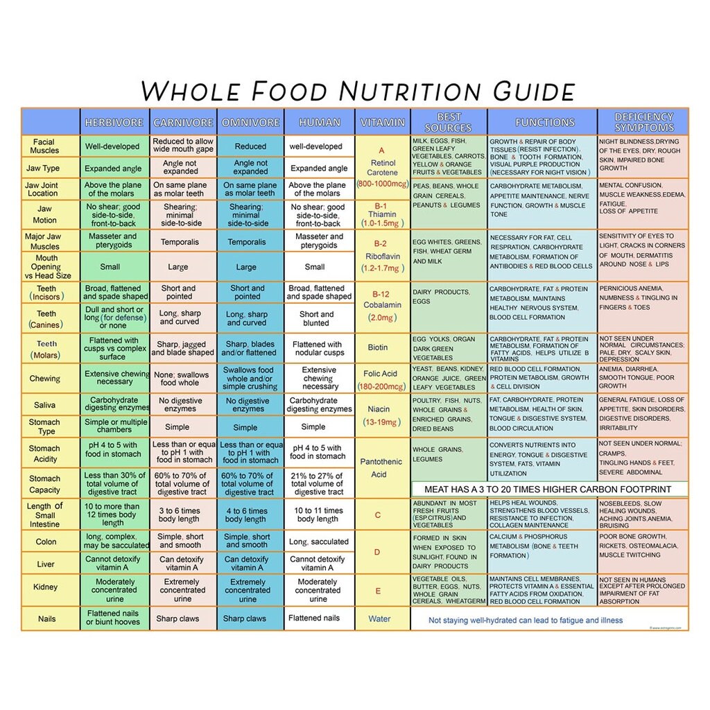 Whole Food Nutrition Guide Professional Quality Print by | Etsy