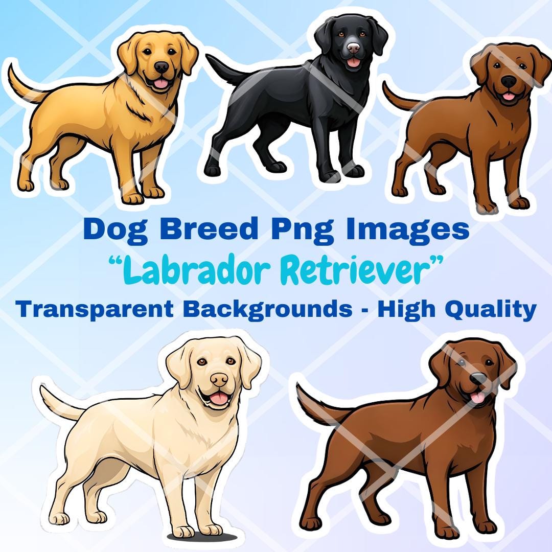 Labrador Retriever Clipart Bundle: Cartoon Dog Breed PNG Stickers ...