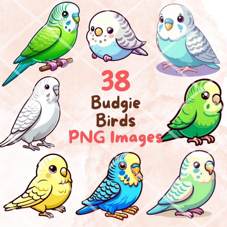Kawaii Cute Budgie Birds Bundle, 38 PNG Clipart, Transparent Background ...