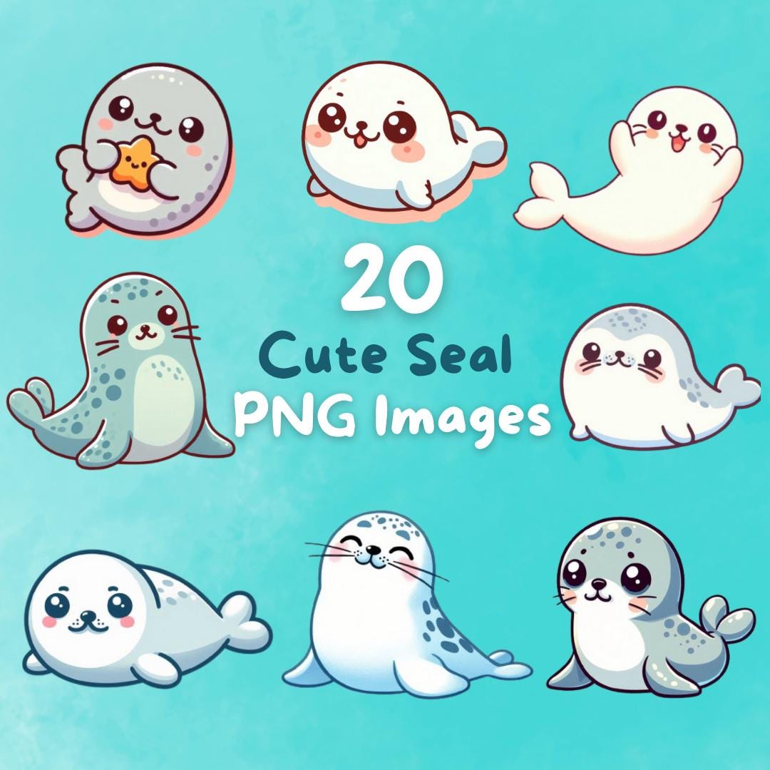 Cute Seal Drawings