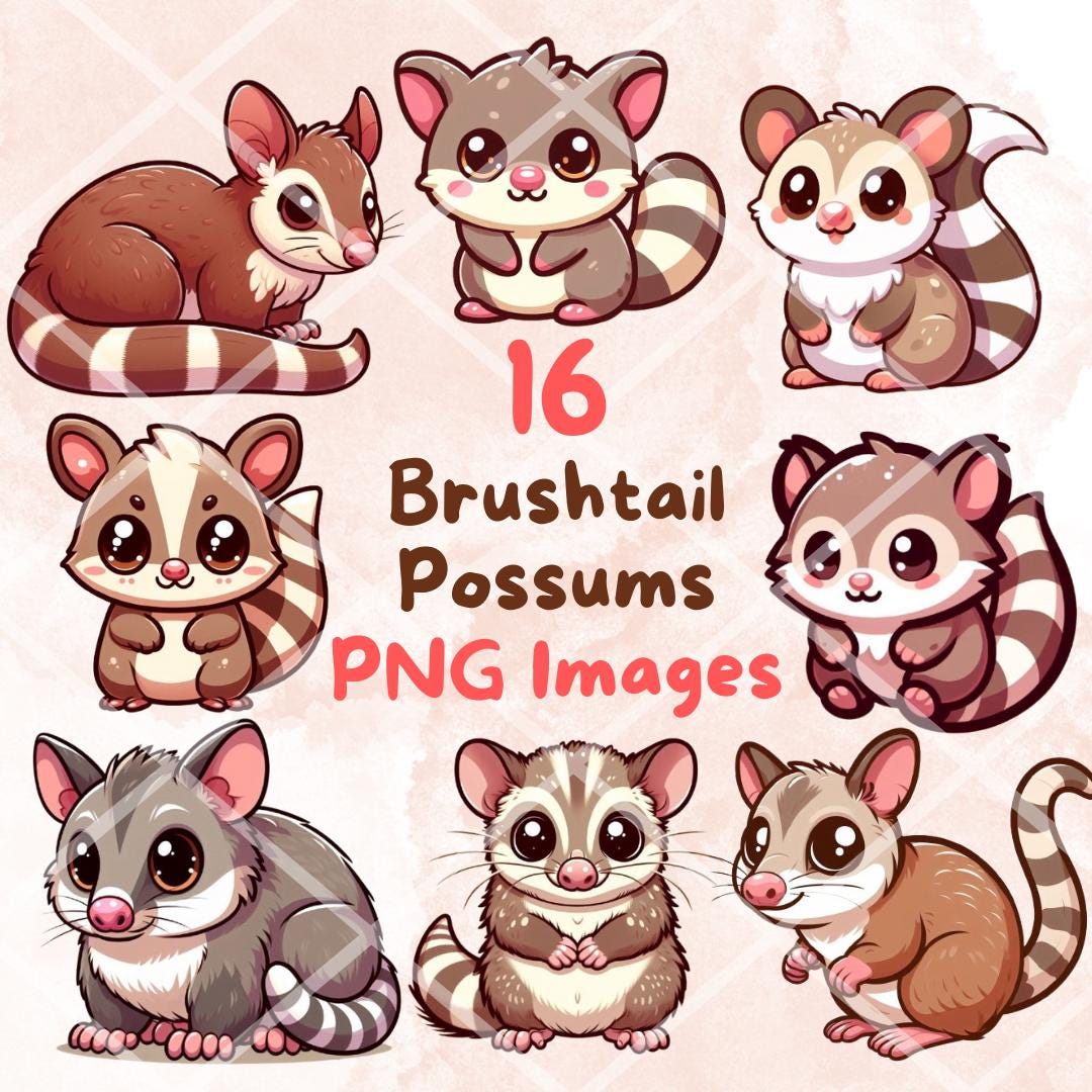 Kawaii Cute Brushtail Possum Clipart Bundle, 16 PNG Clipart ...