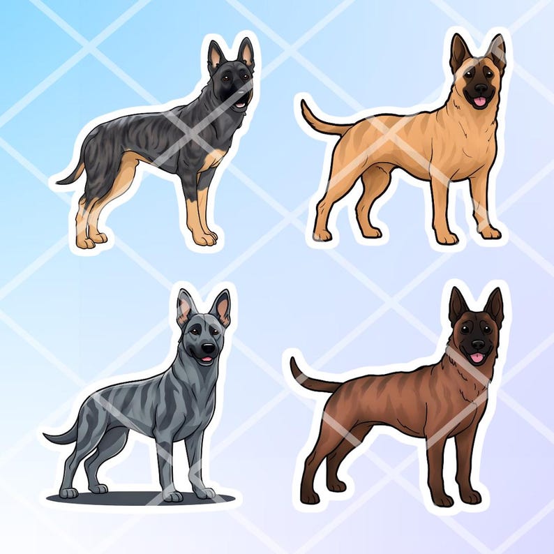 Dutch Shepherd Dog Clipart Bundle, 12 PNG Images, Transparent ...