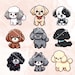 Kawaii Cute Poodle Dog Bundle, 40 PNG Clipart, Transparent Background ...