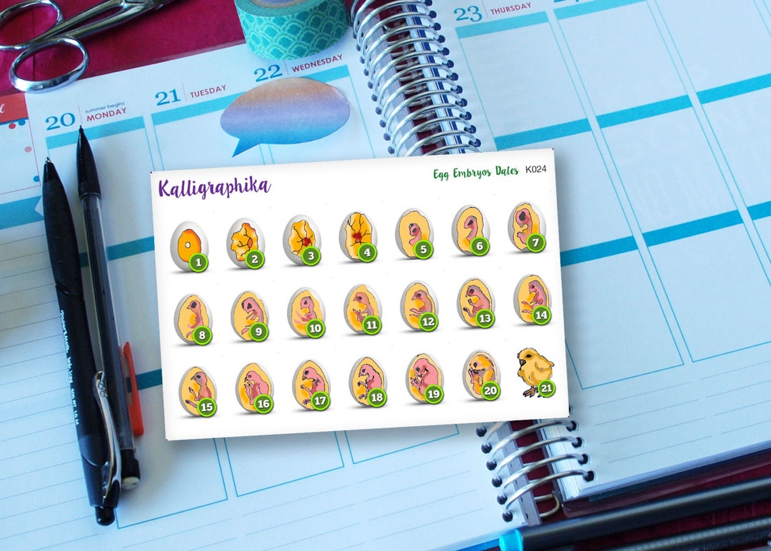 Egg Embryos Incubation Dates Planner Calendar Stickers for Homesteading ...