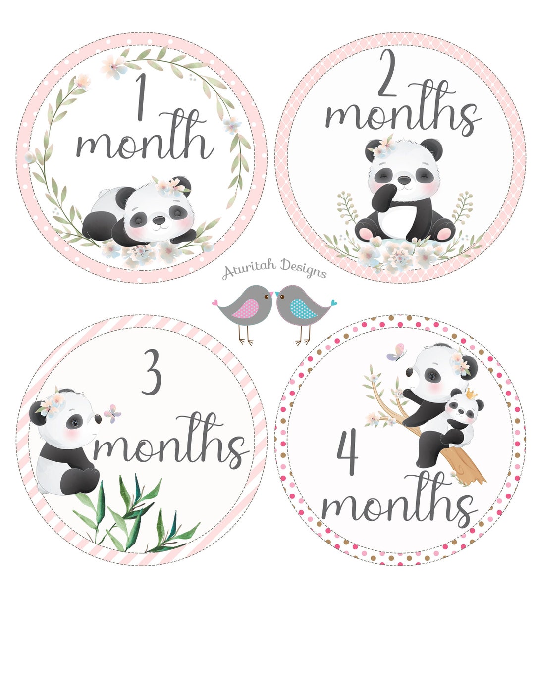 Printable Baby Milestone Stickers | Baby Monthly Stickers | Baby Panda ...