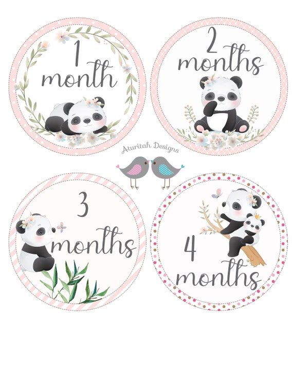 Printable Baby Milestone Stickers Baby Monthly Stickers | Etsy