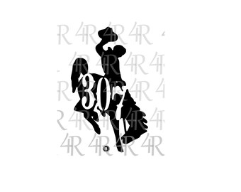 Wyoming 307 Decal - Etsy