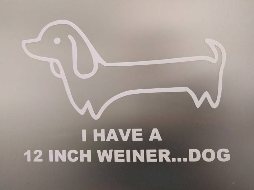 I Have a 12 Inch Weiner ... Dog - Etsy