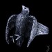 Dead Bird Ring 'goodnight Blackbird' Sterling Silver, Dark, Gothic ...