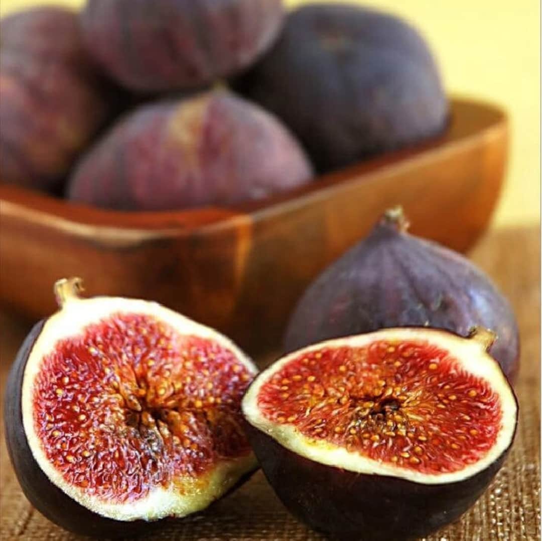 12 Fresh Fig Cuttings ficus Carica Figuier, Echte Feige, Vijgenboom ...