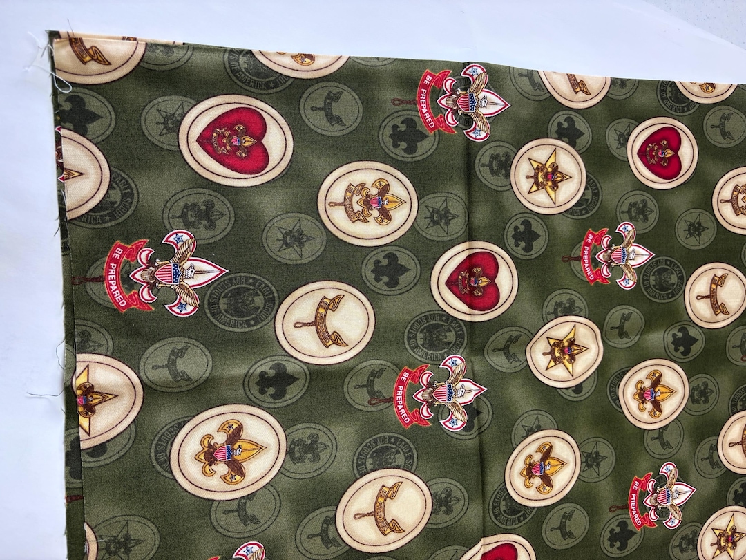 Boy Scouts of America Rank and Insignia Badges #7825, Green Background ...