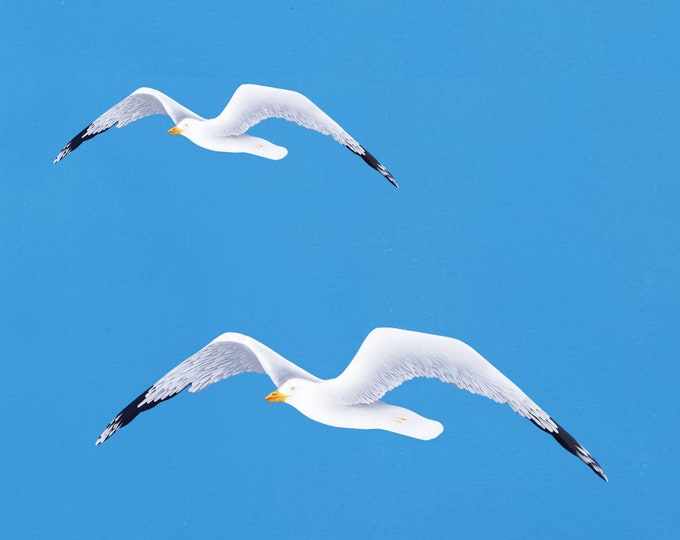 Simply. Fly High\ Flying Seagull Bird Wall Art \ Beach Coastal ...