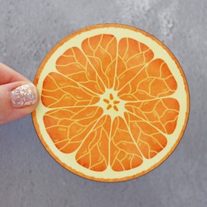 Fruit Slice Coasters, Orange Slice, Lemon Slice, Lime Slice, Watermelon ...